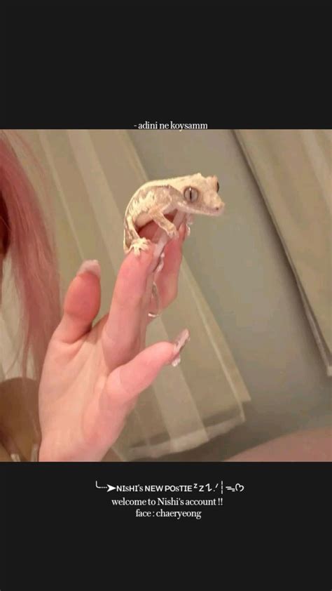 𝓝ɪsʜɪ ᪲᪲ Sonpin Adlı Kullanıcının Sizin Pinleriniz Panosundaki Pin