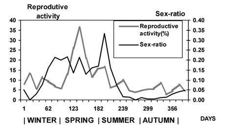 Sex Ratio Variation And Reproductive Activity In Cyathura Carinata