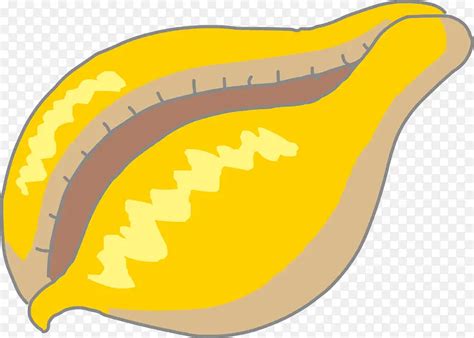 手绘田螺素材png图片素材下载图片编号8859387 Png素材网