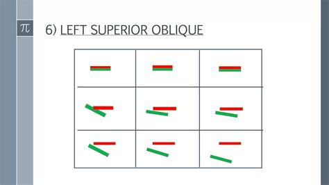 Diplopia Charting Pptx