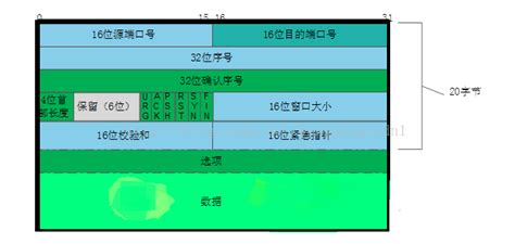 tcp urg与psh详解 csdn博客