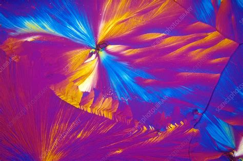 Testosterone Polarized Micrograph Stock Image C0118692 Science