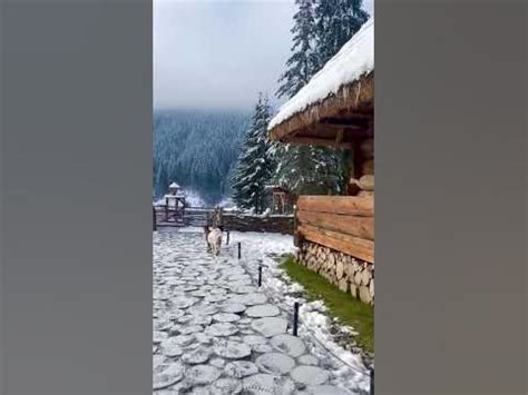 Зима в Гуцул Ленд | #карпатиtravel #карпатитревел #відпочинок # ...