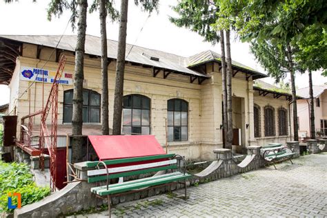Școala Din Fieni Pregătire Pentru Viitorul Elevilor