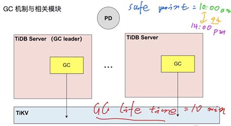 Tidb数据库架构——tidb Servertidb Server 实现的功能有 Csdn博客