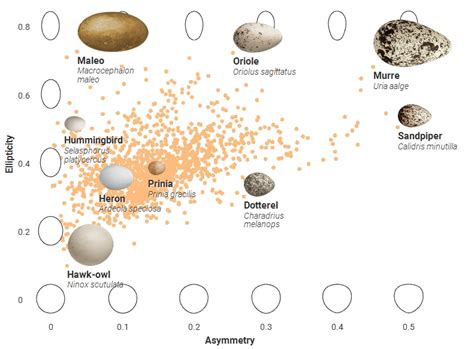 Top Ten Developments In Data Visualization This Year Global