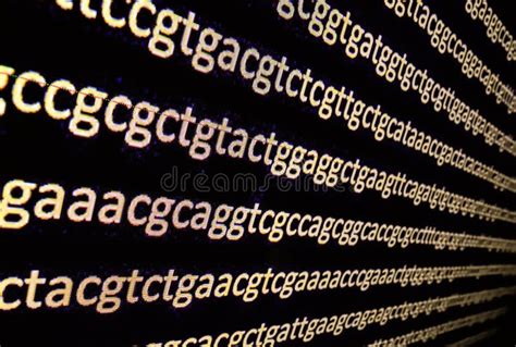 Sequencing The Genome Stock Image Image Of Medicine 112612473