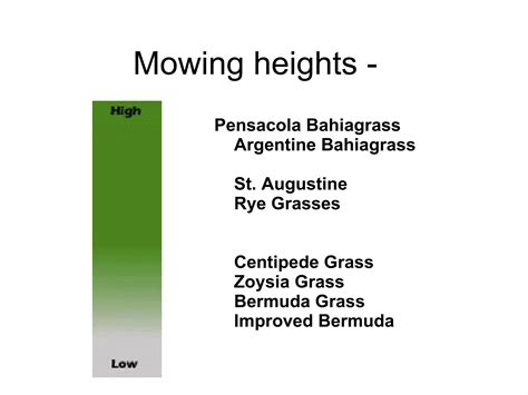 Comparison Of Warm Season Turfgrasses Ppt