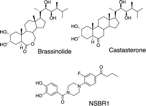 Effects Of Brassinolide On The Growing Of Rice Plants Pmc