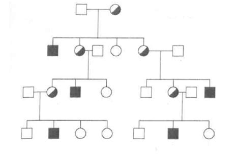 Genetics Test 2 Flashcards Quizlet