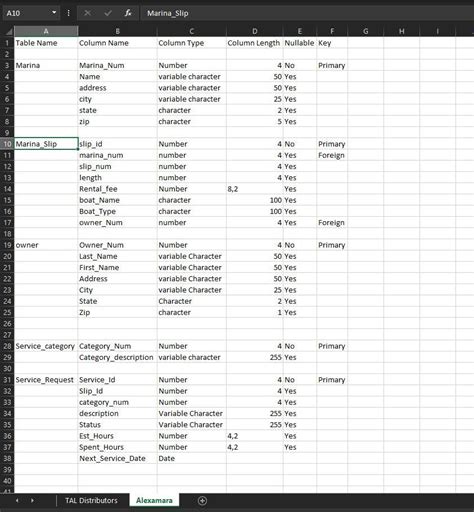 Solved Using The Data Definitions Descriptions In The Excel Chegg Com