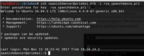 Hackthebox Ariekei Walkthrough