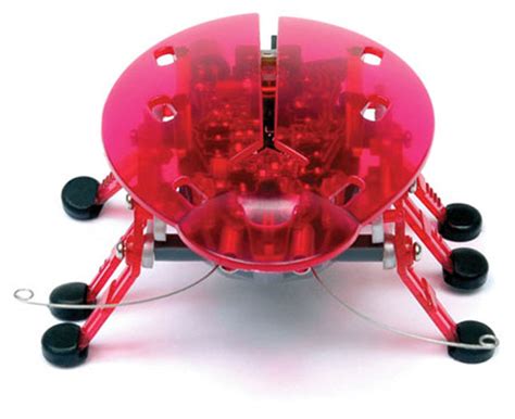 Hexbug Robotic Bug Fat Brain Toys