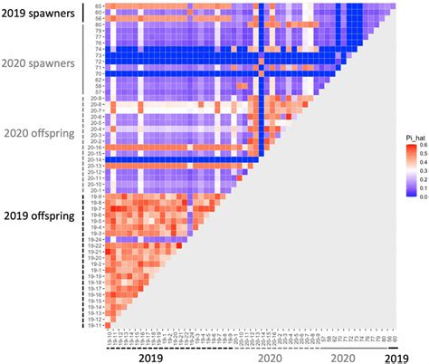 Heatmap Of Identity By Descent Ibd Probabilities Pihat Each