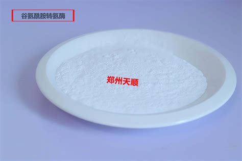 谷氨酰胺转氨酶（tg酶transglutaminase）食品添加剂的作用郑州天顺食品添加剂生产厂家