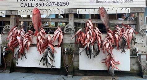 6 Hr Smash With Captain Devin Swoop Ii Party Boat Destin Facebook