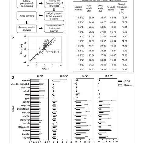 The Workflow Of Rna−seq Data Analysis A Main Steps Of Rna−seq Data Download Scientific
