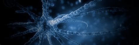 Gene Arrays Innovative Discoveries