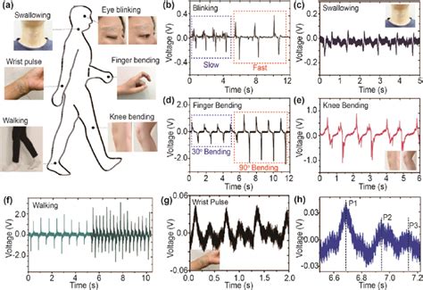 Various Human Physiological Monitoring Experiments Conducted Using The