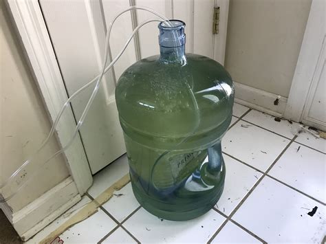 Growing Algae Starts Today Details