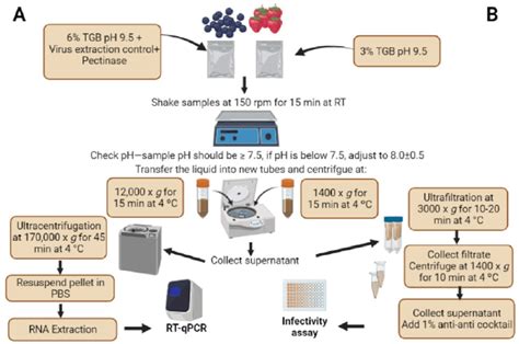 A A Flowchart Showing The General Steps Of A The Fda Standard For