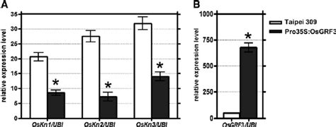 Phenotypes Of Greenhouse Grown Rice Plants Ectopically Expressing