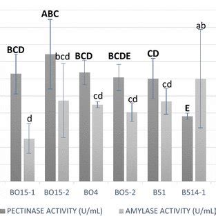 Amylase And Pectinase Activities Of Yeast Isolates Incubated At 15 °c