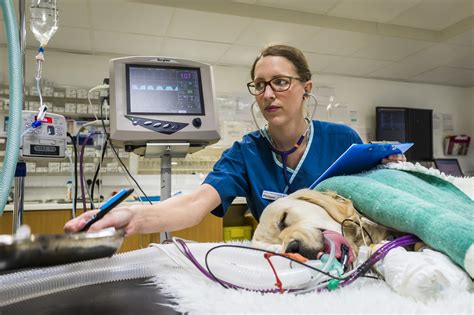 Pics Photos Nurse