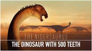 Nigersaurus The Dinosaur With 500 Teeth