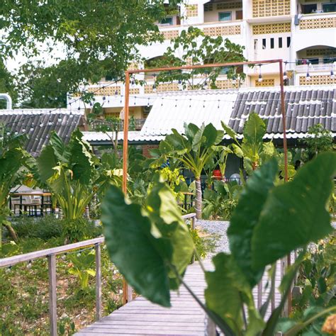 Chew Chew Phuket Added A New Photo Chew Chew Phuket