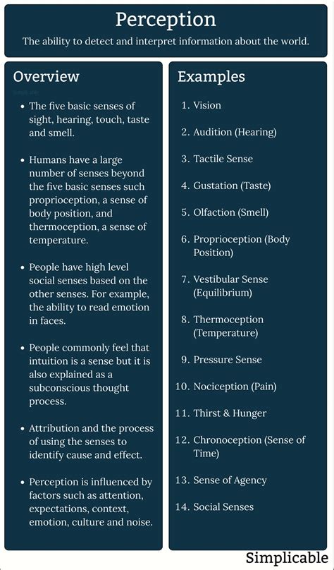 19 Examples Of Perception Simplicable