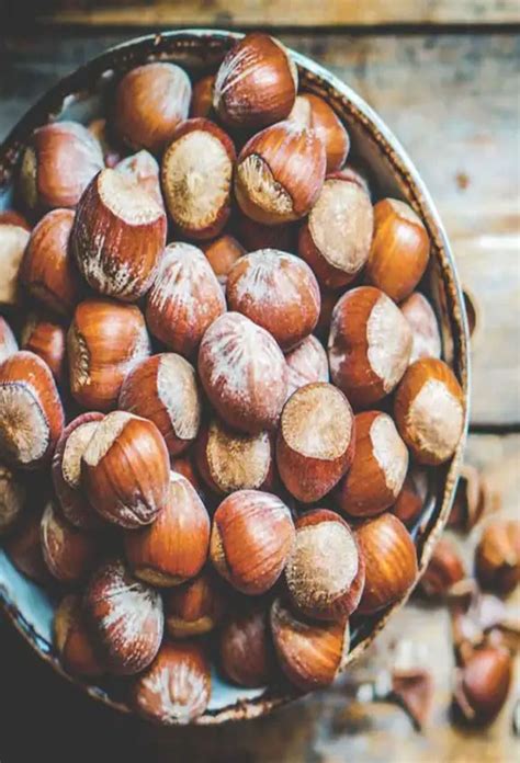 Hazel Nuts