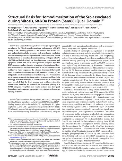Pdf Structural Basis For Homodimerization Of The Src Associated