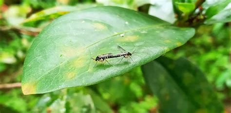 The Most Insightful Stories About Genetics Medium