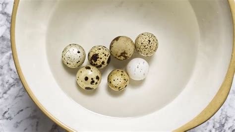 How To Soft And Hard Boil Quail Eggs Prepare And Serve