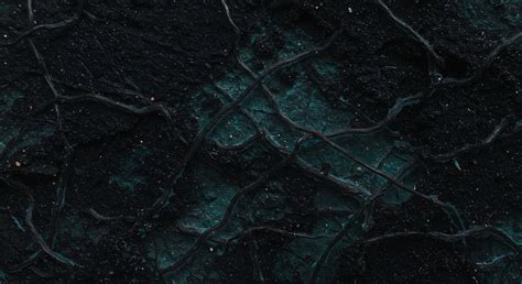 Ecological Niche Theory → Fundamentals