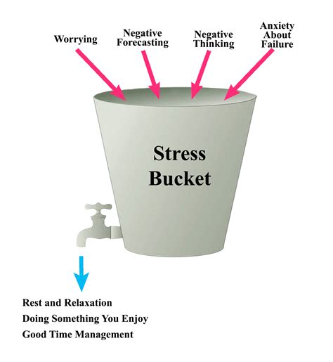 Dealing With Stress The Stress Bucket Tc Psychology
