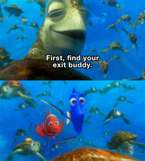 Do You Have Your Exit Buddy Peach Finding Nemo Good Movies Finding Nemo