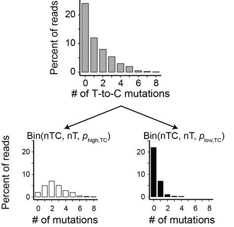 Analyzing Nr Seq Data The Basics
