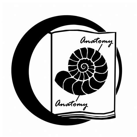 Características Generales Orden Graptoloidea Paleo3d