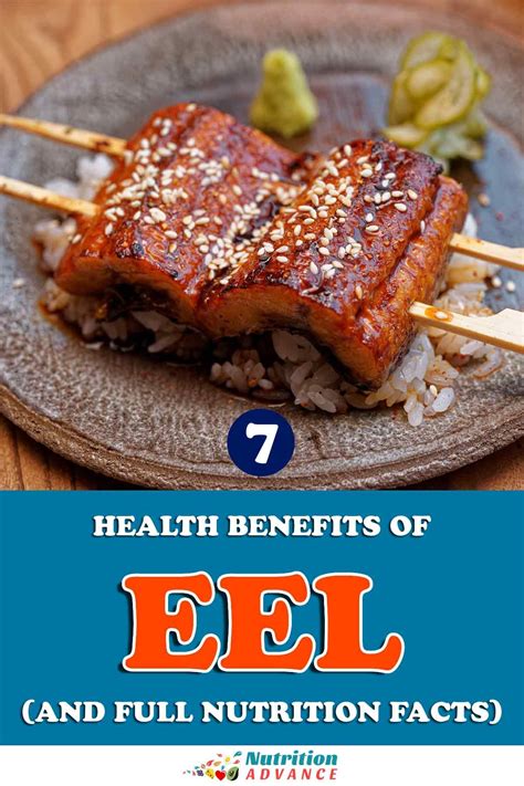 Eel Health Benefits The Treatment Guides