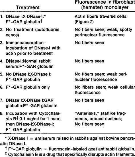 Tests For Specificity Of Dnase I Anti Dnase I Technique For Staining Download Table