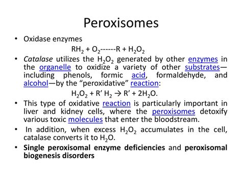 Cell Organelles The Intracellular Specialty Shop Ppt Download