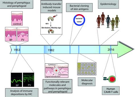 Schematic Diagram Of The Milestones In Personalized Medicine In