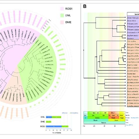 Conserved Domain Composition And Multiple Sequence Alignments Of The Download Scientific