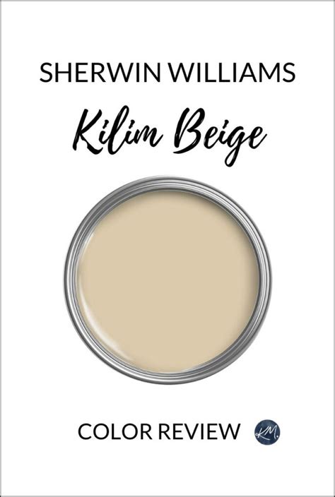 Sherwin Williams White Sesame Undertones Lighting And Best Uses