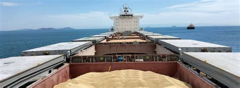 The Black Sea Grain Initiative What Was Achieved Why Was It Important