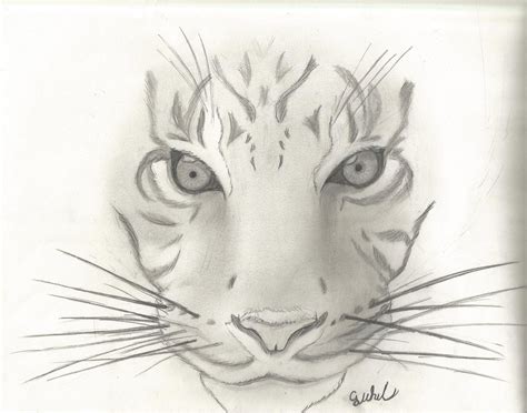 Pin On Sketches