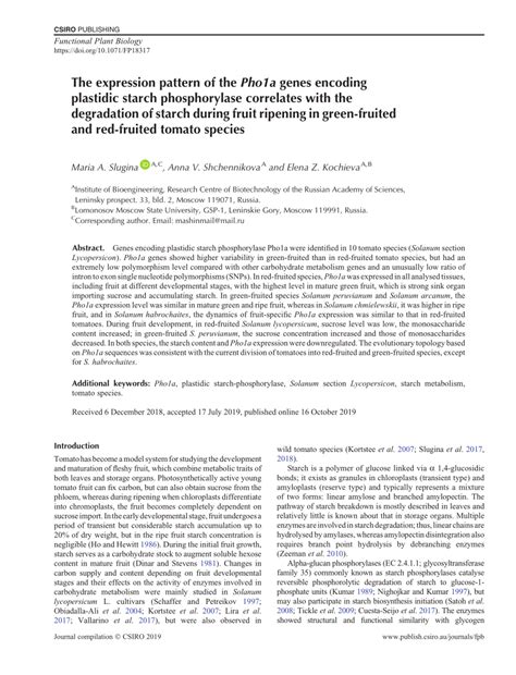 Pdf The Expression Pattern Of The Pho1a Genes Encoding Plastidic Starch Phosphorylase
