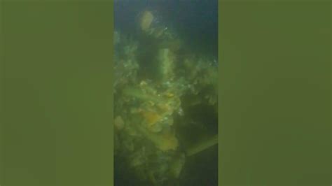 Sobgi Shortvideos Shortsviral Trendingshorts 😉 Youtube